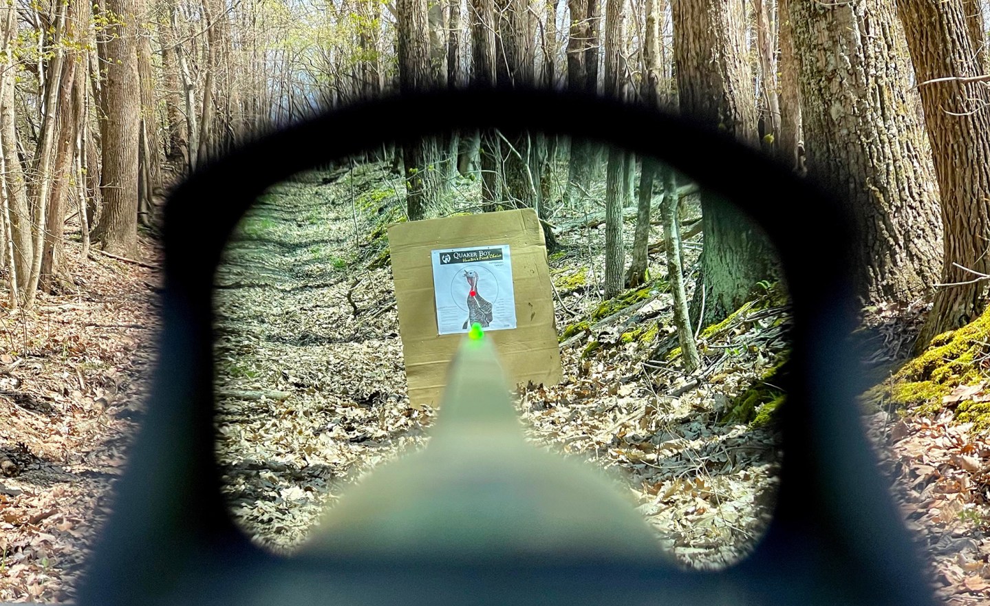 The Best Sights for Turkey Shotguns: Scopes vs. Red Dots vs. Open ...
