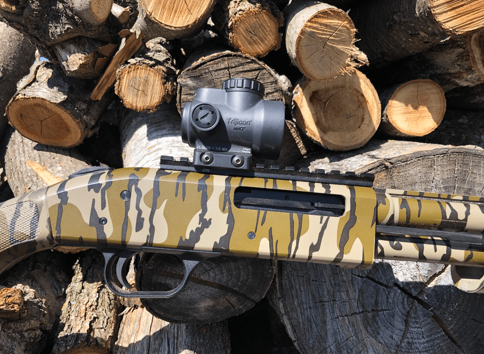 The Best Sights for Turkey Shotguns: Scopes vs. Red Dots vs. Open ...