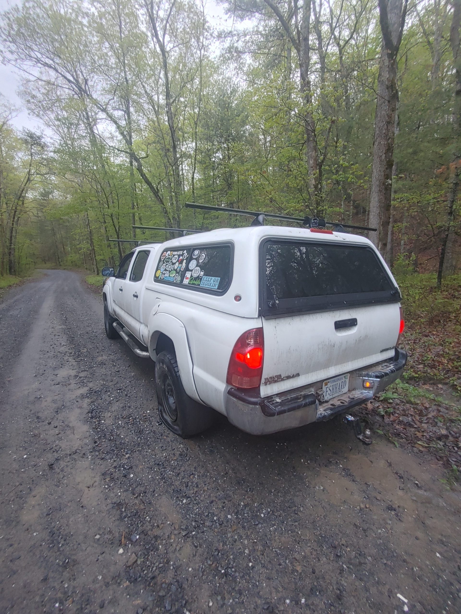 Virginia Angler Catches World-Record Fallfish in Two Casts | Outdoor Life