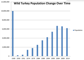 Banning Reaping Won't Solve Turkey Population Declines | Outdoor Life