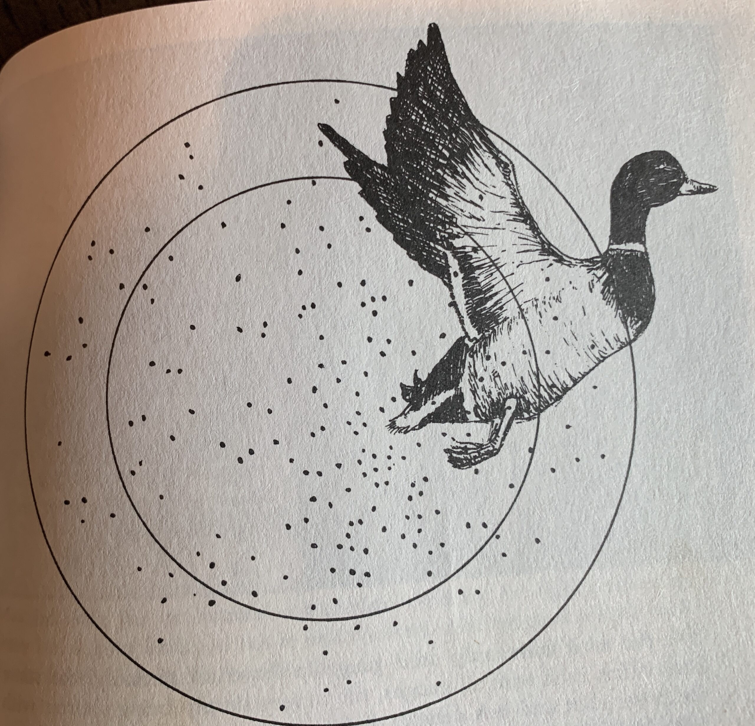 The Truth Behind Shotguns and Shotshell Patterns | Outdoor Life