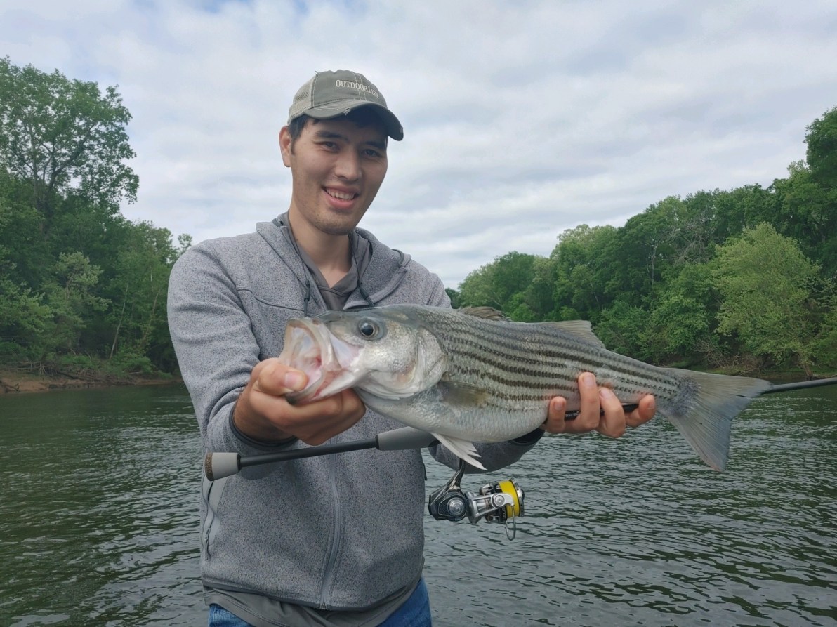 Best Inshore Spinning Reels for 2024 | Outdoor Life