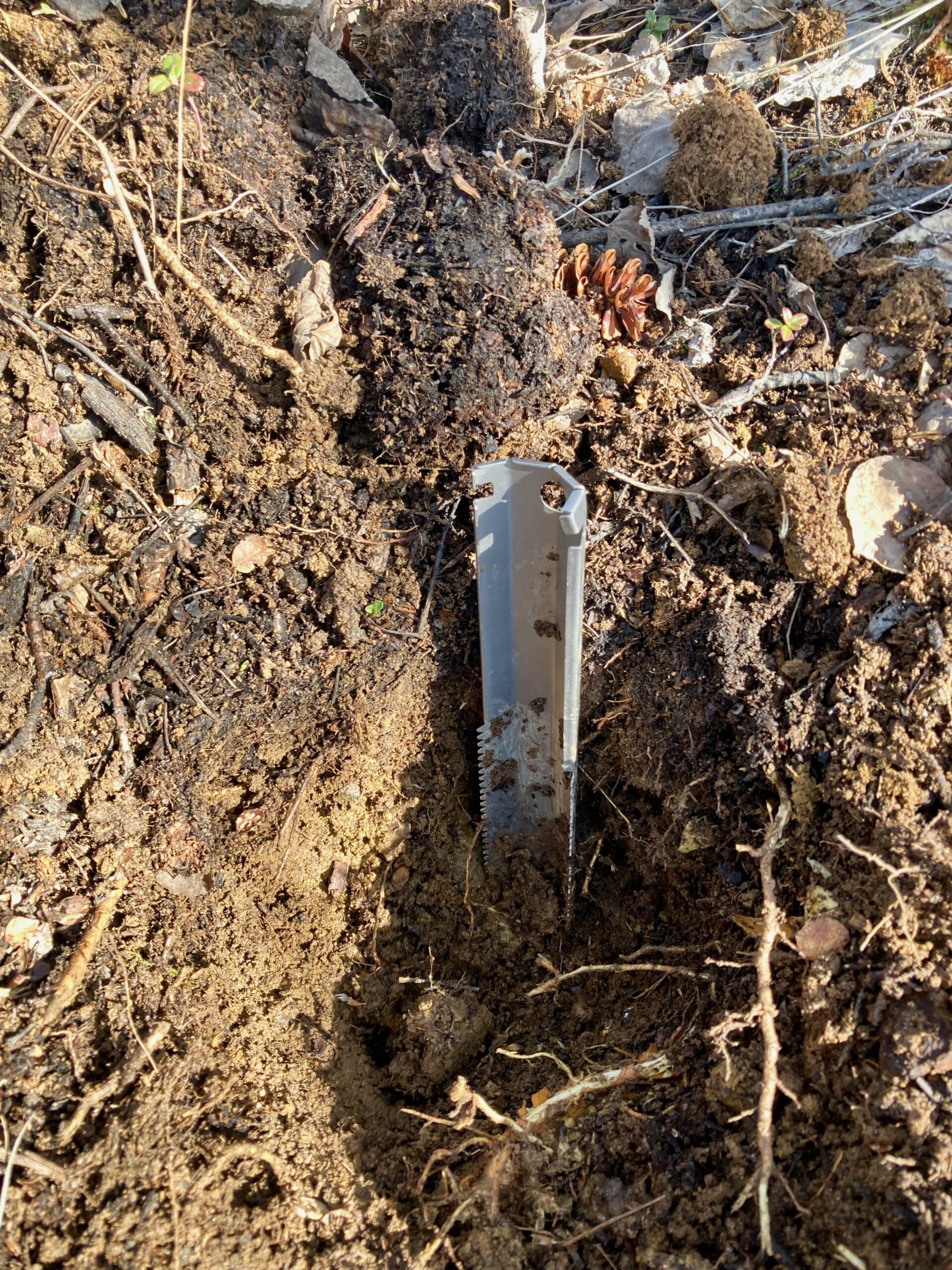 Best Camping Shovels of 2024 | Outdoor Life