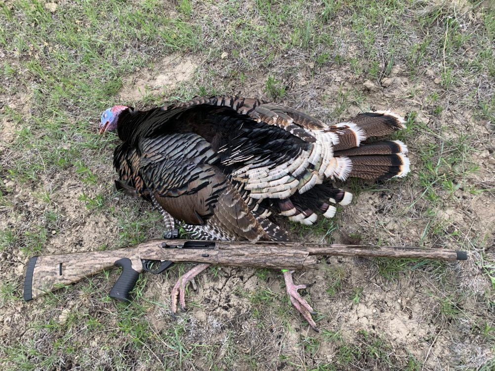 What I Learned From Shooting 200 Turkey Loads | Outdoor Life