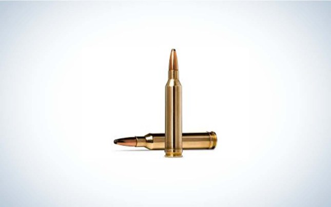 Best Elk Hunting Calibers of 2024 | Outdoor Life