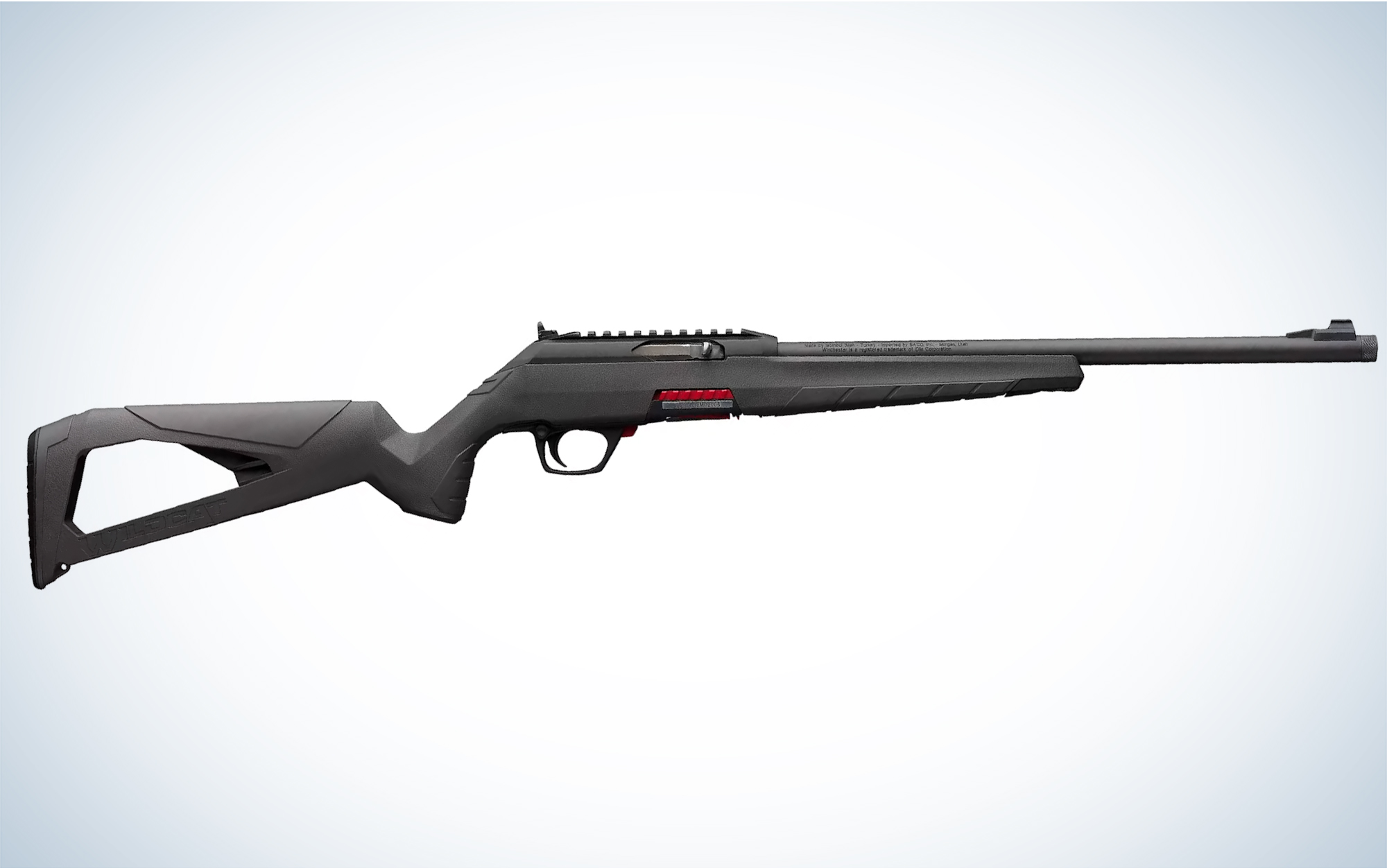 Best .22 LR Rifles of 2024 | Outdoor Life