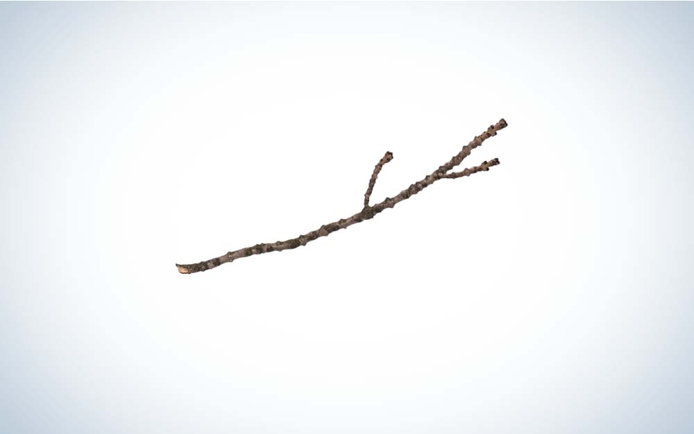 Best Camping Cookware for Open Fires | Outdoor Life