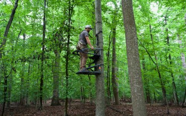 Best Climbing Tree Stands | Outdoor Life