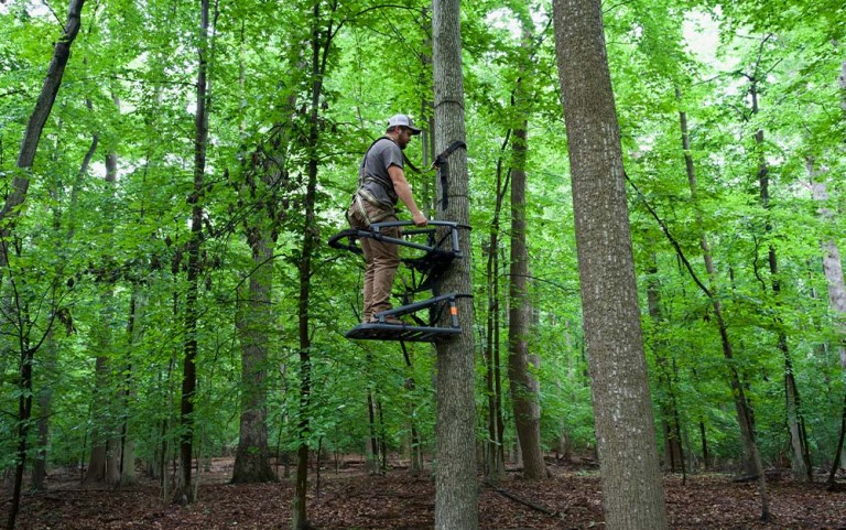 Best Climbing Tree Stands | Outdoor Life
