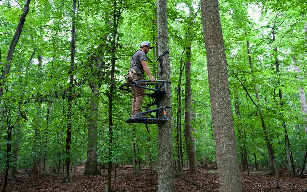 Best Climbing Tree Stands | Outdoor Life
