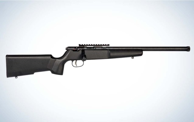 Best .22 LR Rifles of 2024 | Outdoor Life