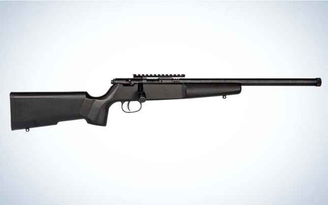 Best .22 LR Rifles of 2024 | Outdoor Life