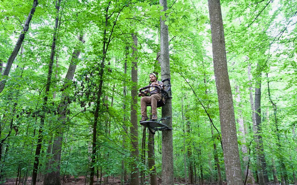Best Climbing Tree Stands | Outdoor Life