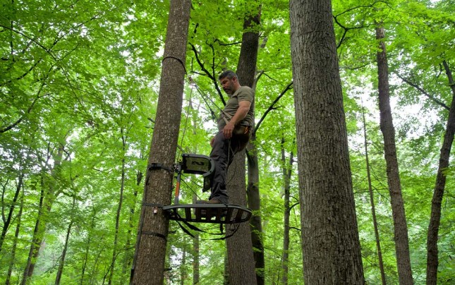 Best Hang-On Tree Stands of 2025 | Outdoor Life