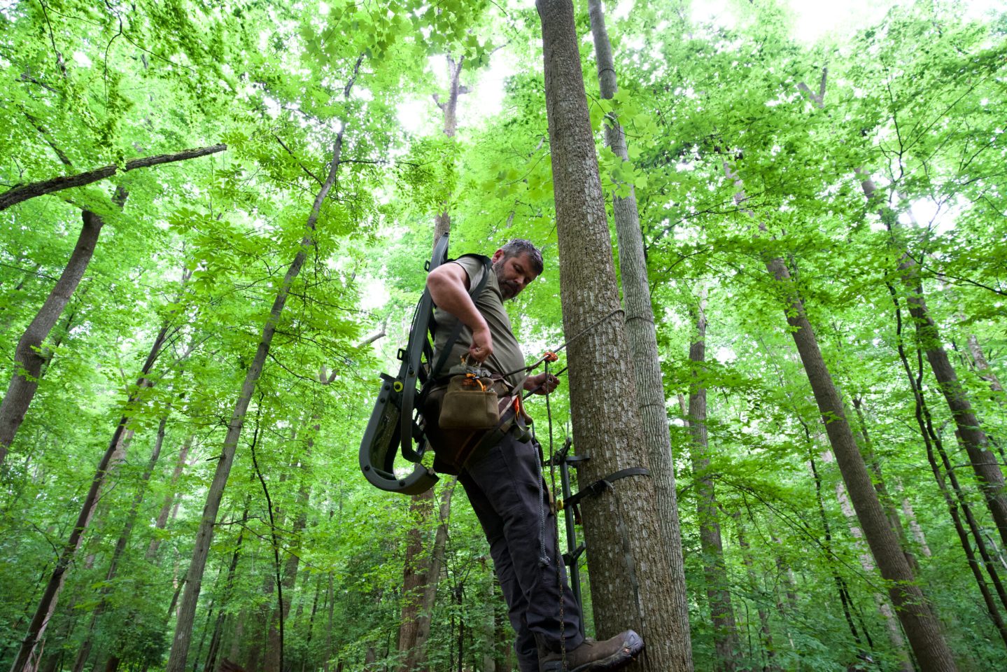 Best Hang-On Tree Stands of 2025 | Outdoor Life