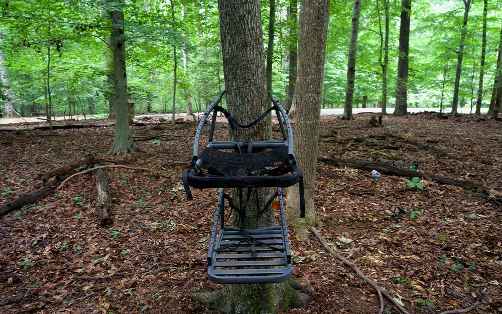 Best Tree Stands of 2023, Tested and Reviewed | Outdoor Life