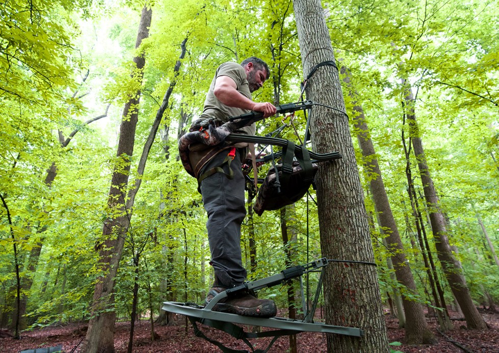 Best Climbing Tree Stands | Outdoor Life