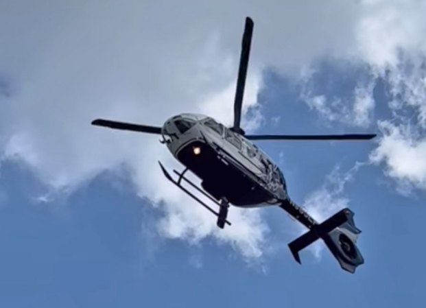 Alligator-Catfish Hybrids Are Being Spawned in Alabama | Outdoor Life