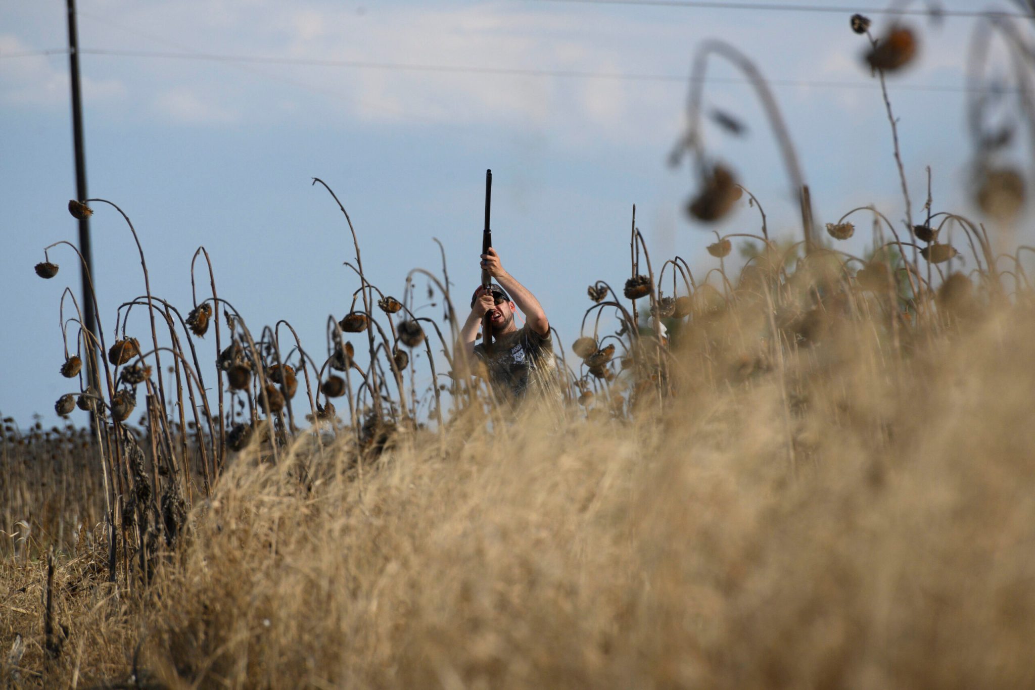 Dove Hunting Tips and Tactics | Outdoor Life