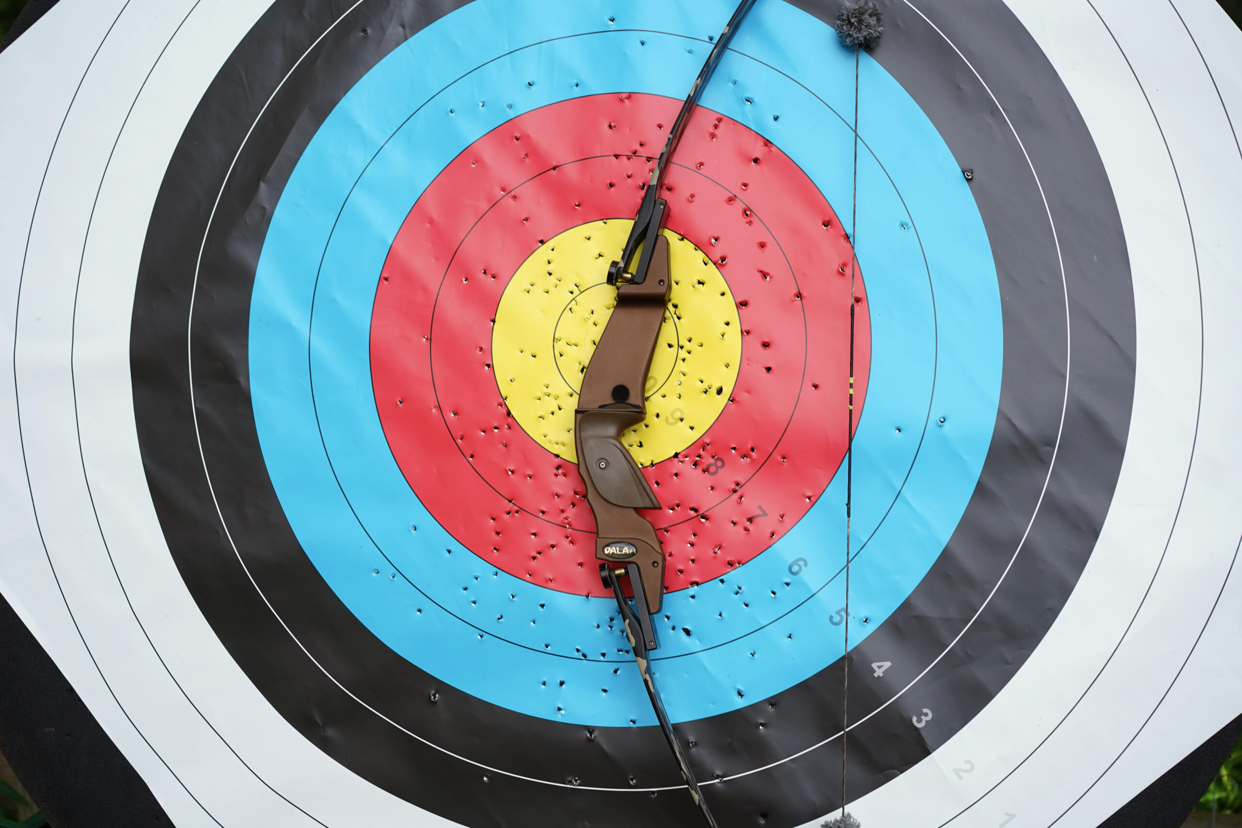 The Best Recurve Bows of 2023 | Outdoor Life