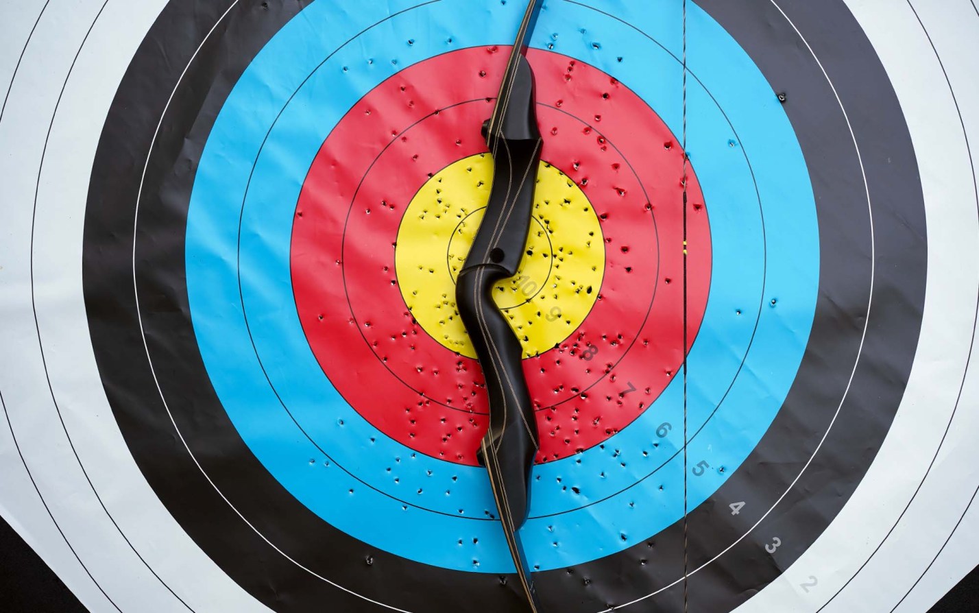 Budget Trad Bows: These Cheap Bows Shot Surprisingly Well Against a ...