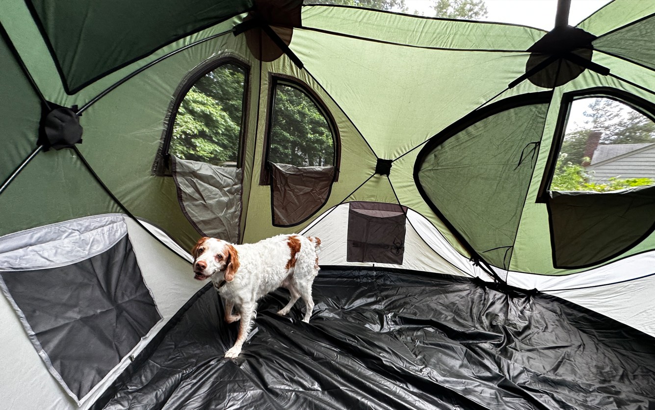 Best Instant Tents of 2025, Tested and Reviewed | Outdoor Life