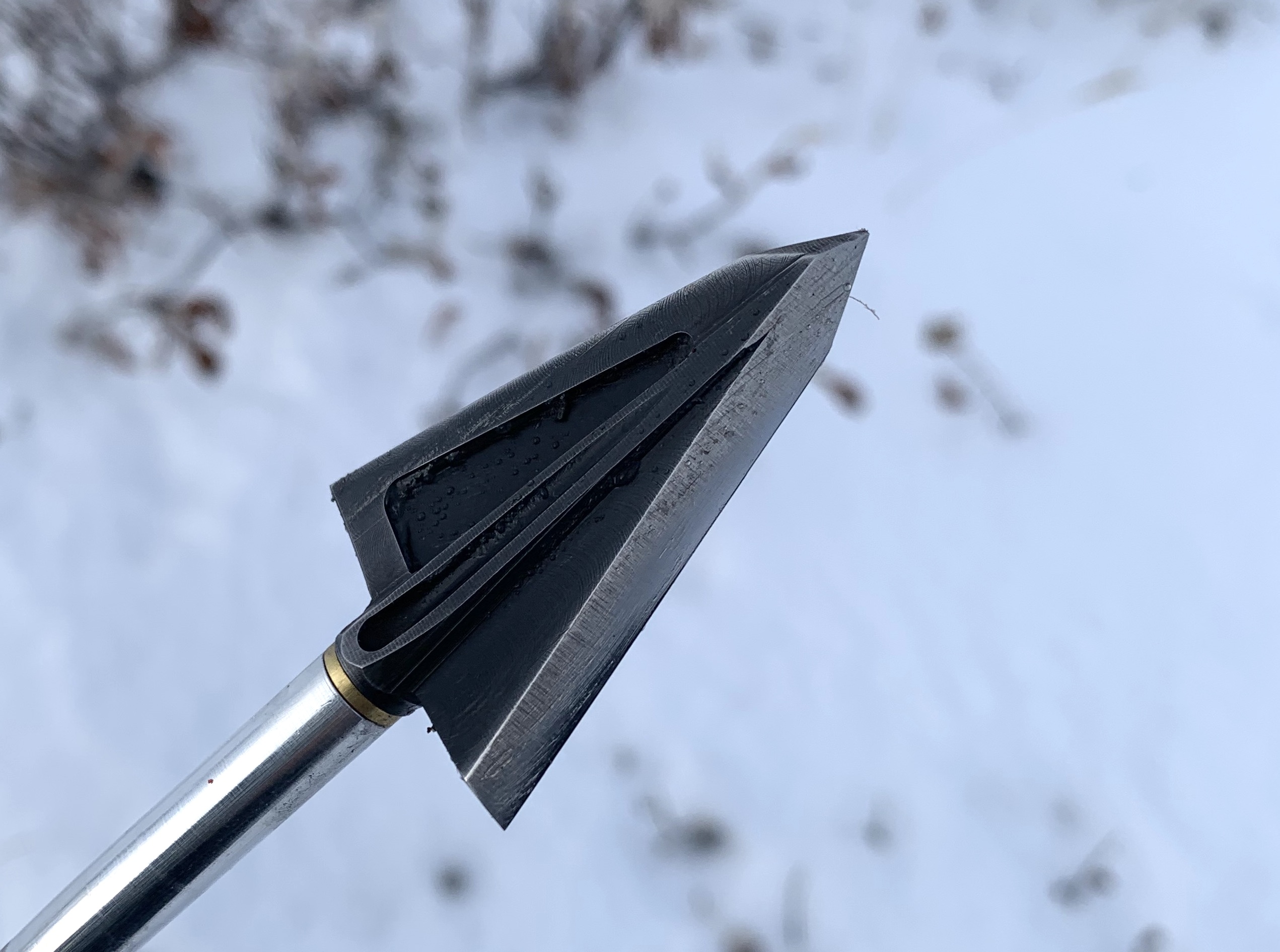 Single Bevel Broadheads: Everything Bowhunters Need to Know | Outdoor Life