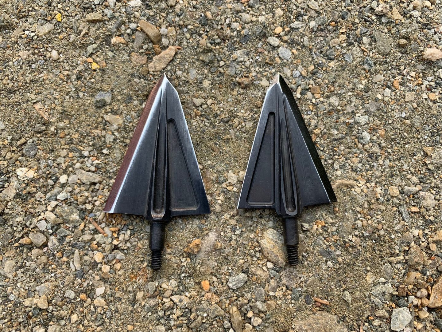 Single Bevel Broadheads: Everything Bowhunters Need to Know | Outdoor Life