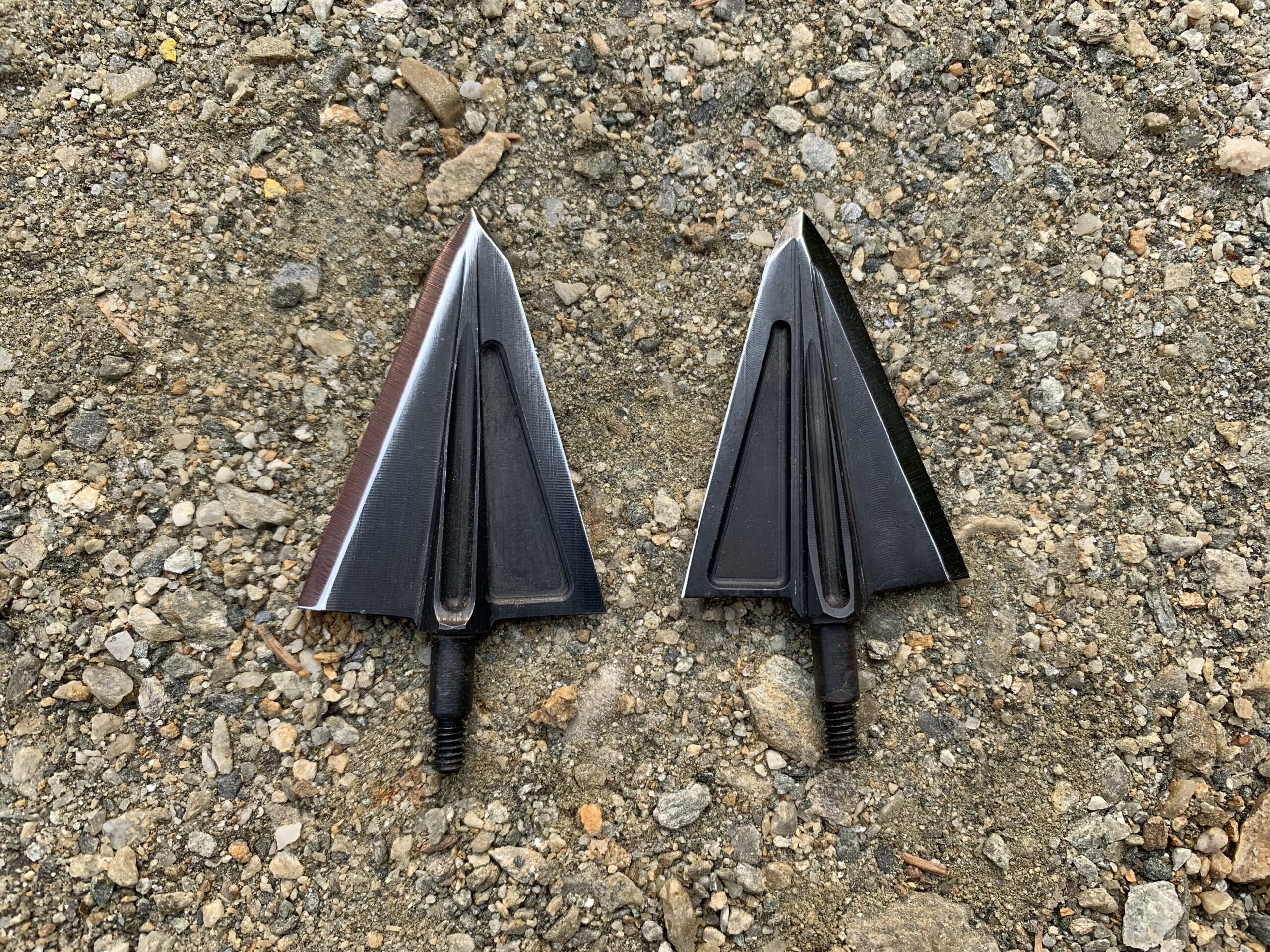 Single Bevel Broadheads: Everything Bowhunters Need to Know | Outdoor Life