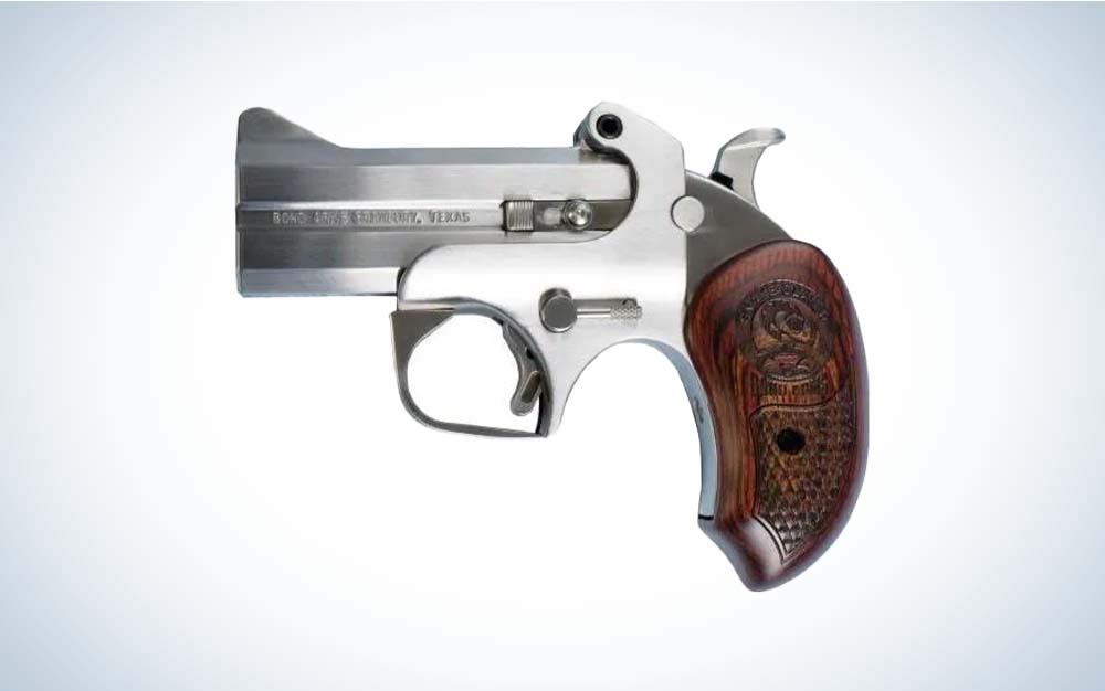 The Best .410 Handguns for Snakes and Backyard Pests | Outdoor Life