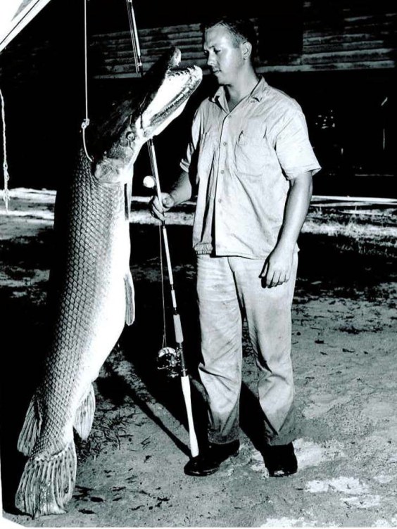 Giant Alligator Gar: Trash Fish or Trophy Gamefish? | Outdoor Life