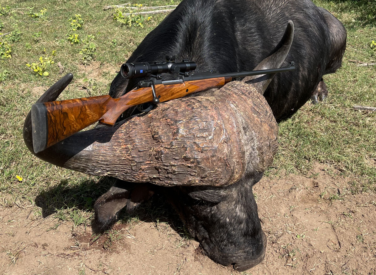 The 10 Best Dangerous Game Cartridges | Outdoor Life