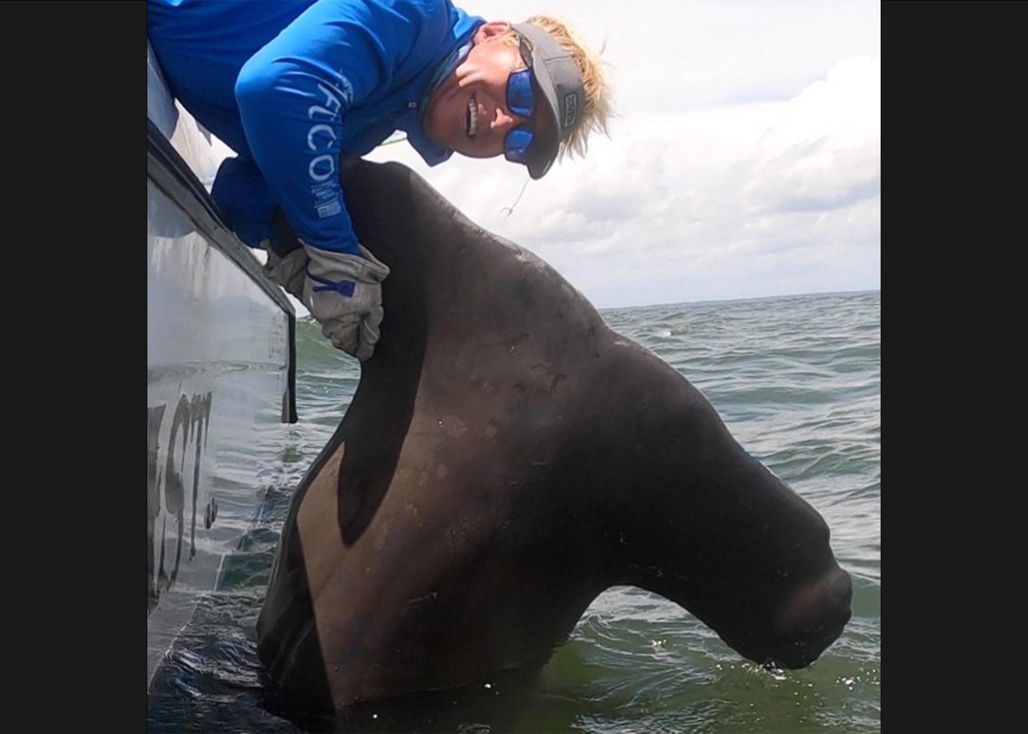 South Carolina Captain Releases Would-Be Record Hamerhead Shark ...