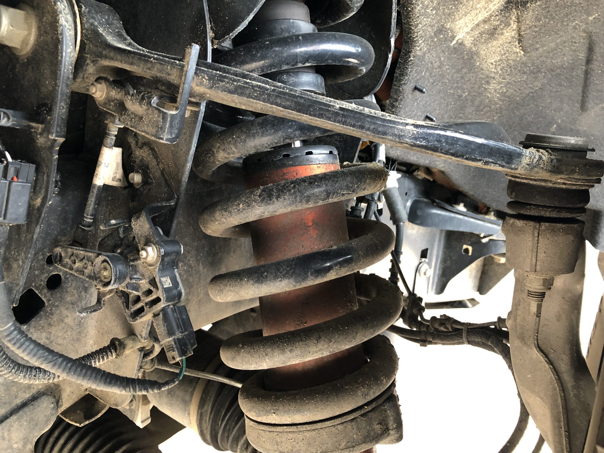 Truck Review: F-150 Ford Raptor | Outdoor Life