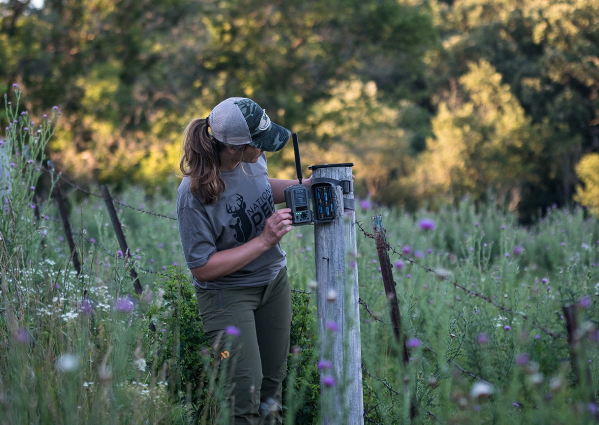 Can Deer See Trail Camera Flash and Get Spooked? | Outdoor Life