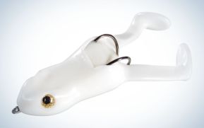 Best Frog Lures for 2026 | Outdoor Life