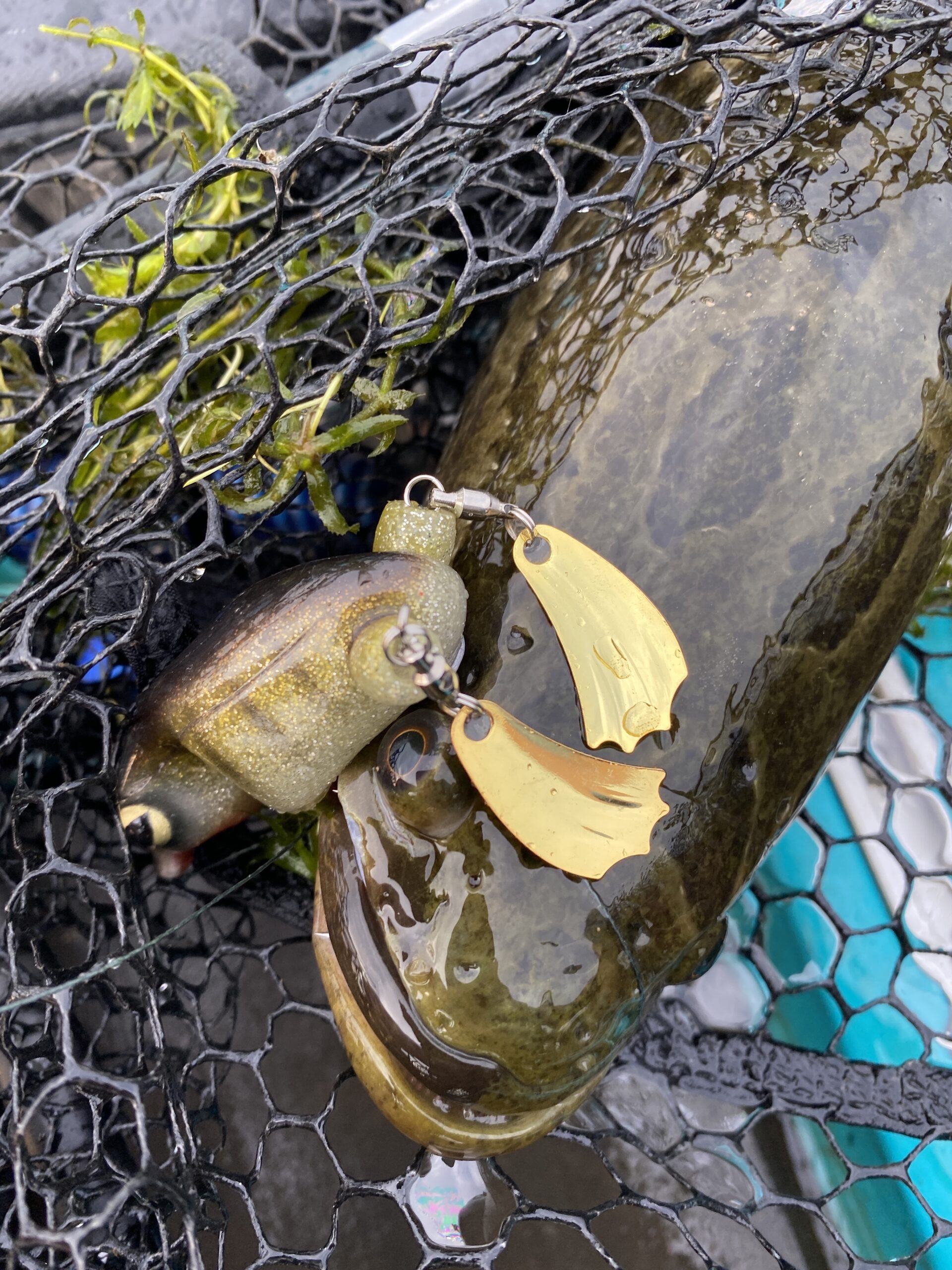 How to Catch Snakeheads | Outdoor Life