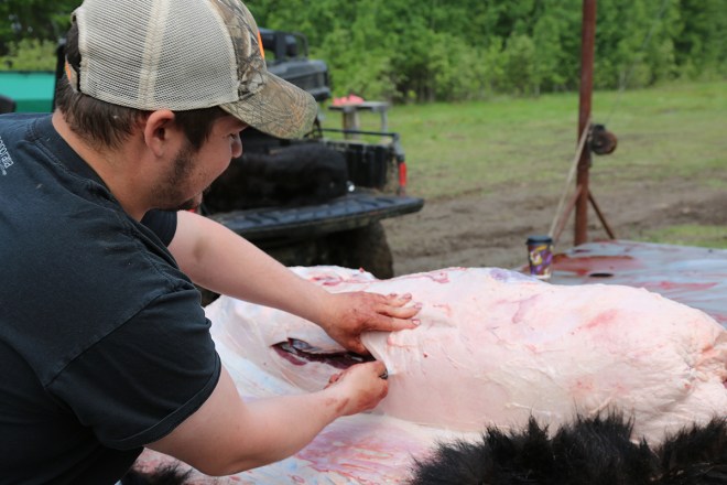 The Best Ways to Use Bear Fat | Outdoor Life