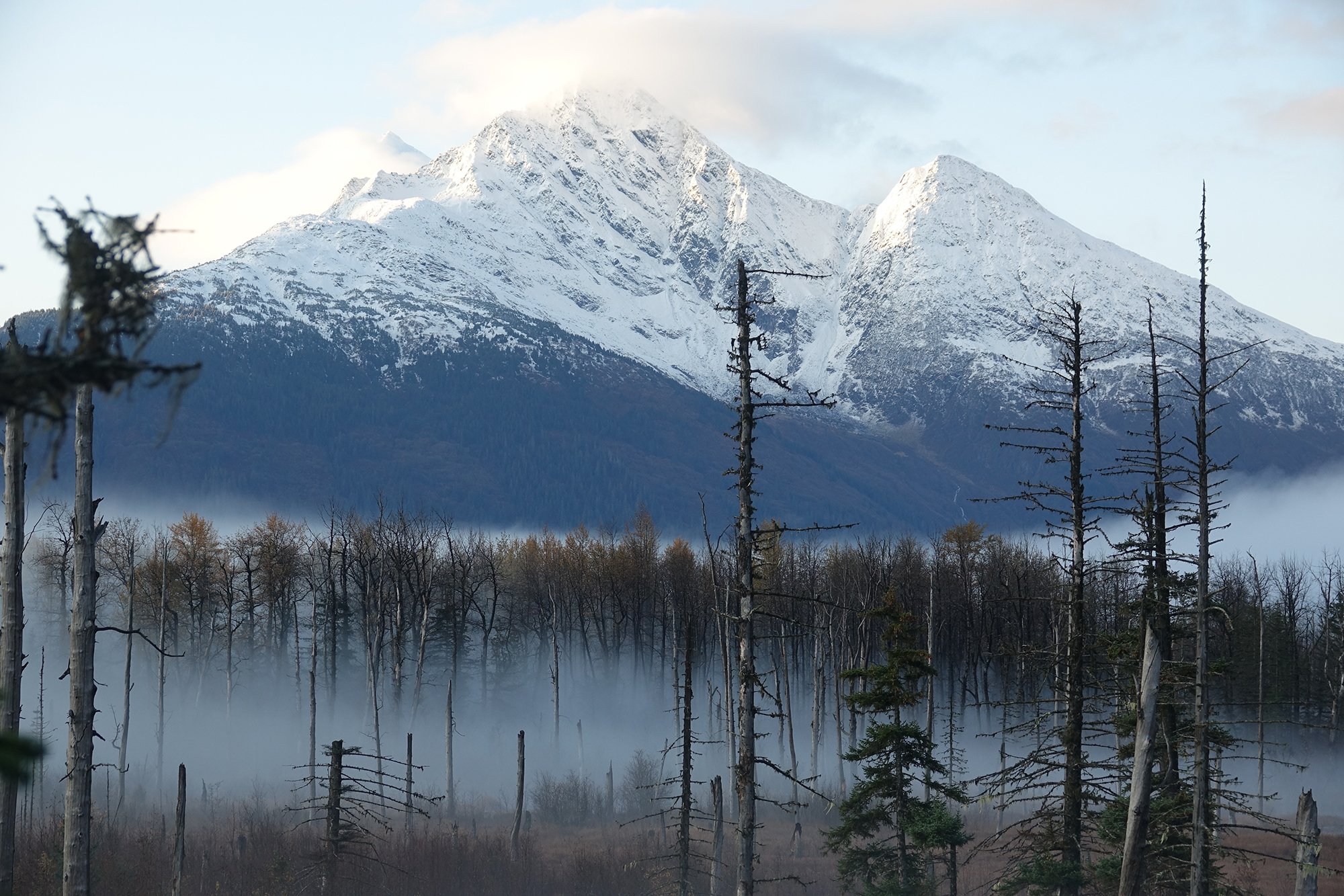 The Infamous and Murderous Sheslay Free Mike | Outdoor Life