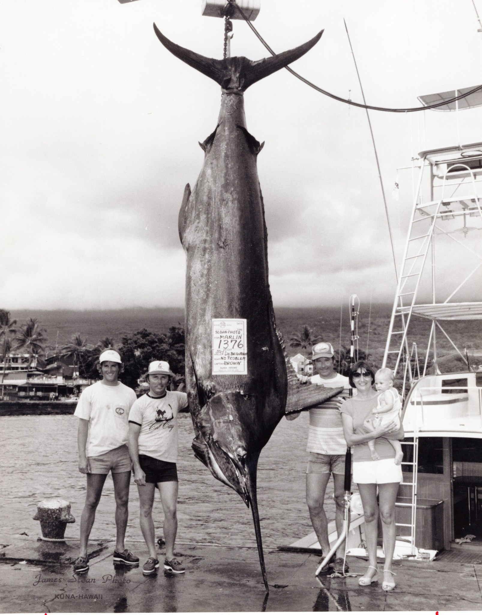 World Record Marlin | Outdoor Life