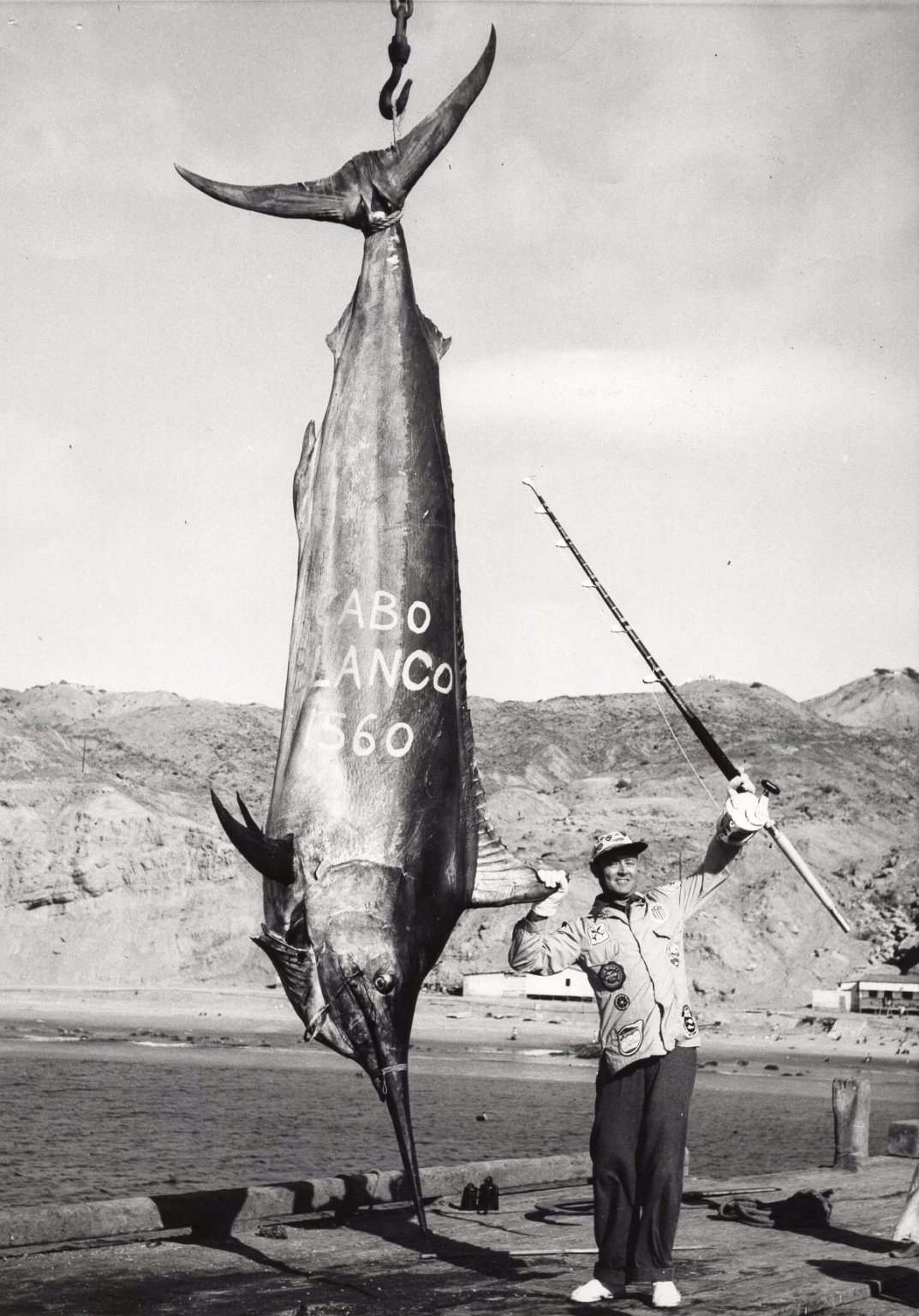 World Record Marlin | Outdoor Life