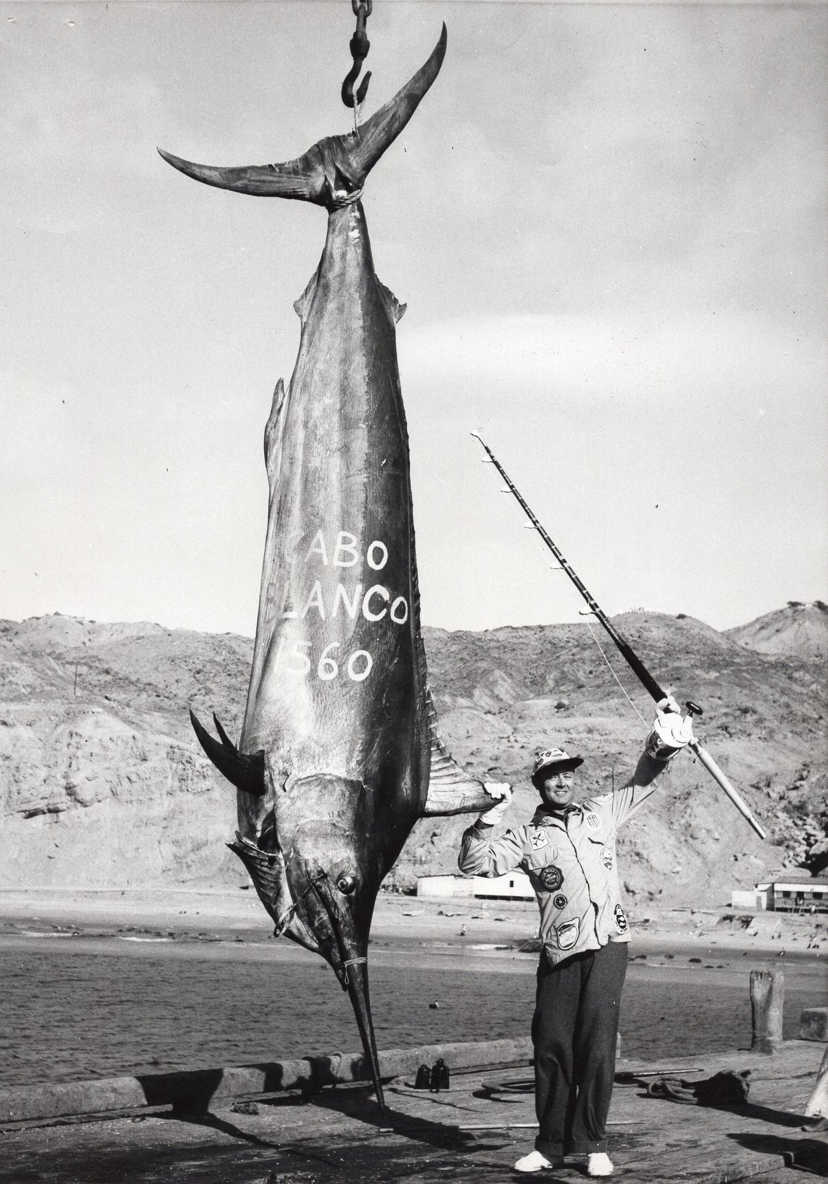 World Record Marlin | Outdoor Life