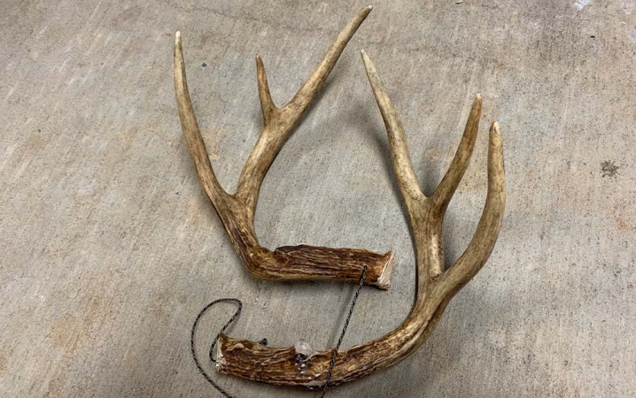 Best Deer Calls of 2024 | Outdoor Life