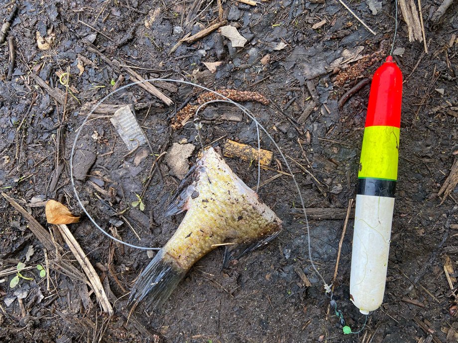 The Best Bobbers for Catching More Fish | Outdoor Life