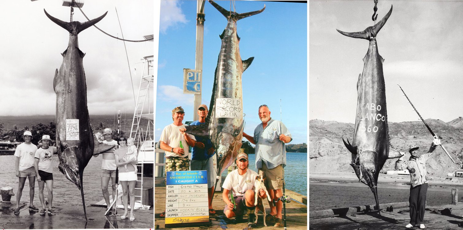 World Record Marlin | Outdoor Life