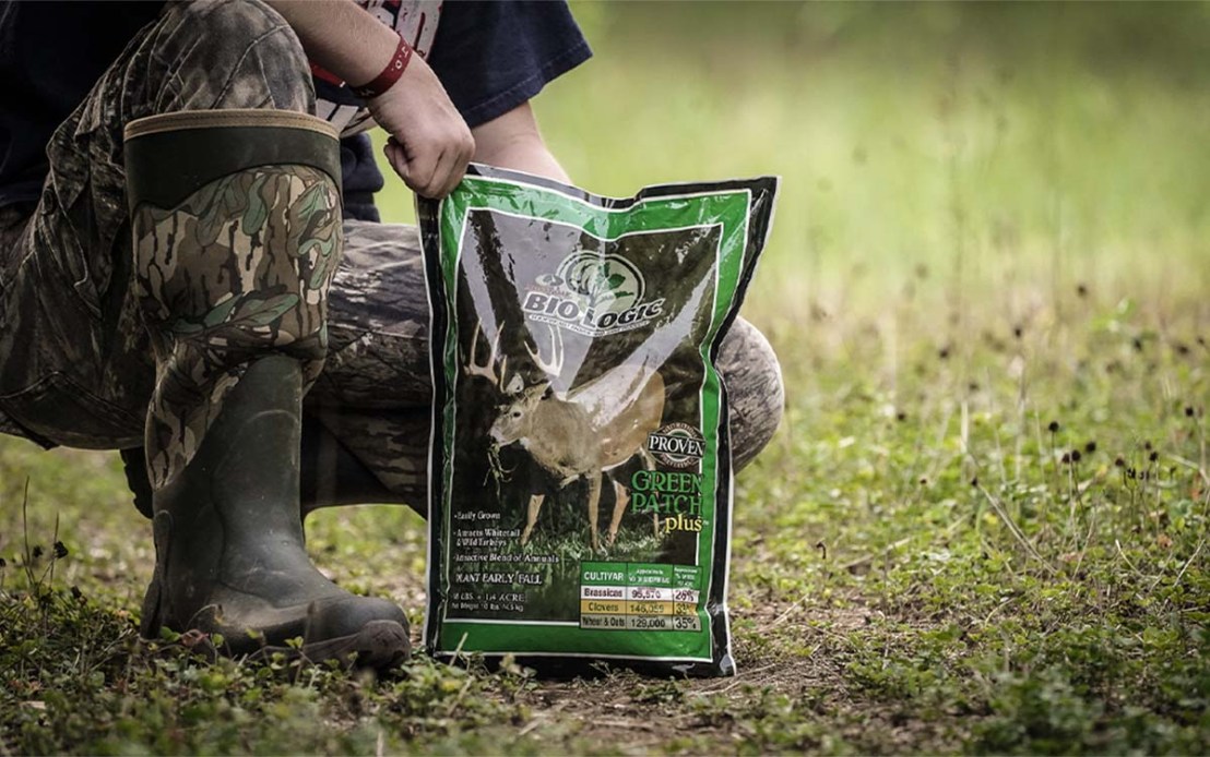 Best Food Plots for Deer of 2025 | Outdoor Life