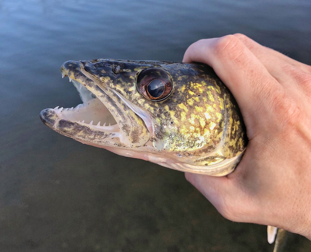 The 6 Most Common Ways Fishing Leads to Injuries, Stitches, and ...