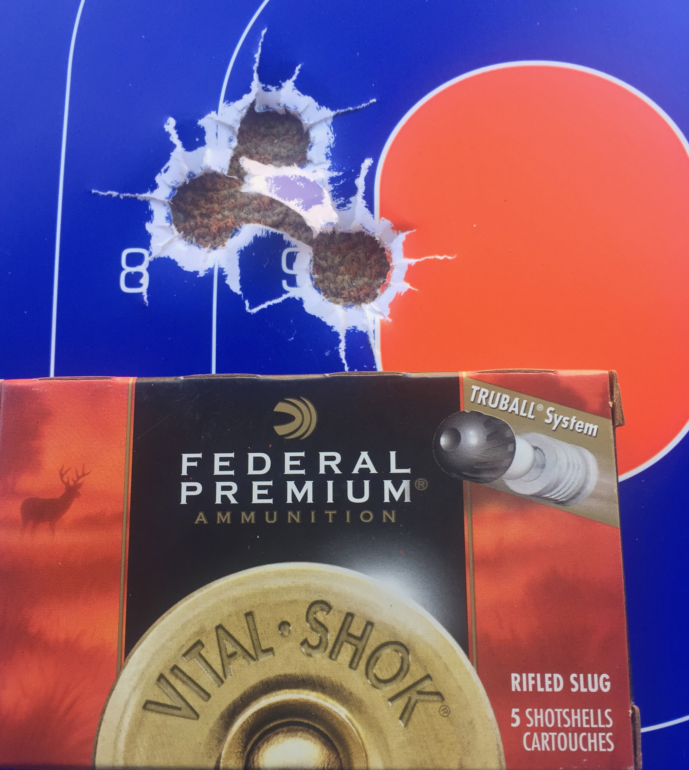 Whitetail Slug Shootout: Rifled vs. Sabot Slugs | Outdoor Life