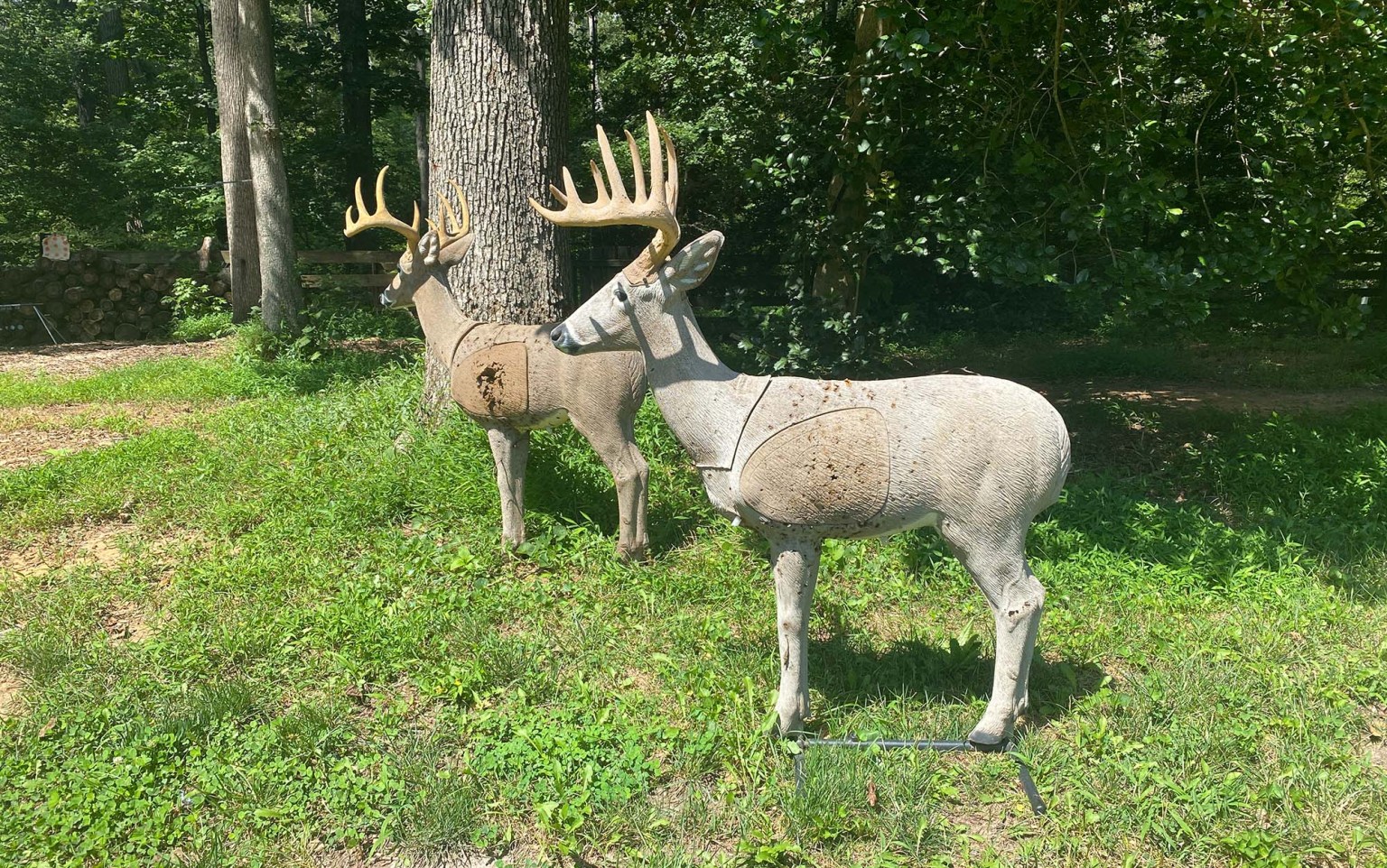 The Best Archery Targets of 2025, Tested and Reviewed | Outdoor Life