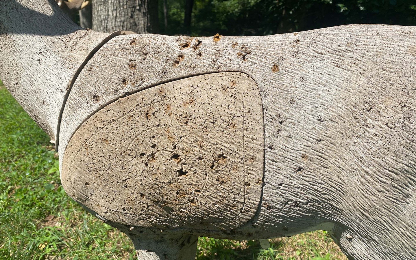 The Best Archery Targets of 2025, Tested and Reviewed | Outdoor Life